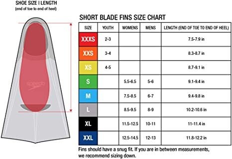 Speedo short blade fins store